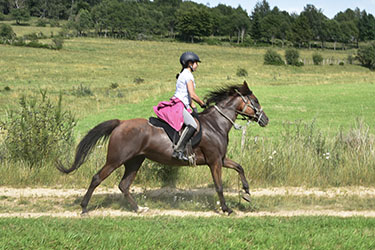RIDE IN FRANCE - Endurance Horseback riding in Burgundy and Lozere ...